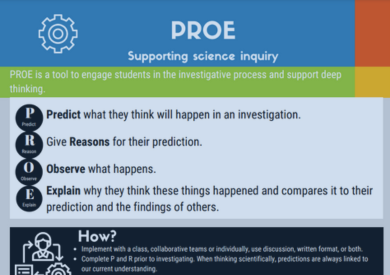 Lesson 7 • Body coverings and feeding | Primary Connections